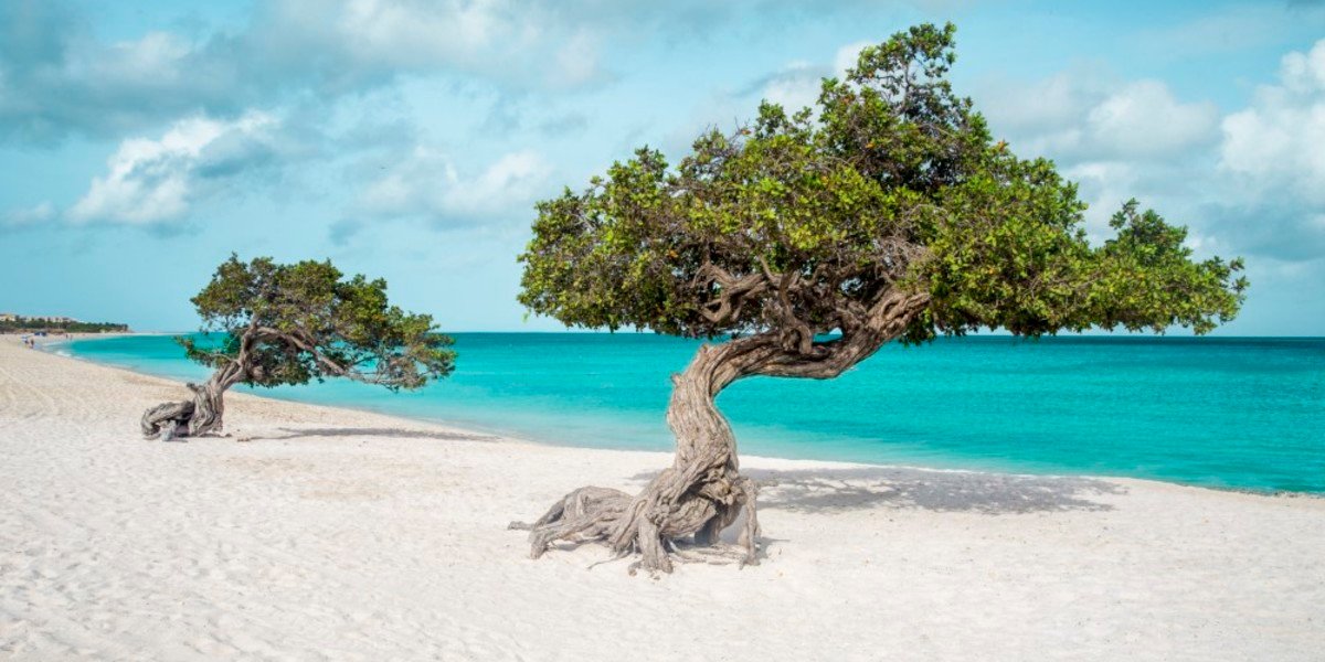 Letoviska (destinace) Aruba | CK Čedok