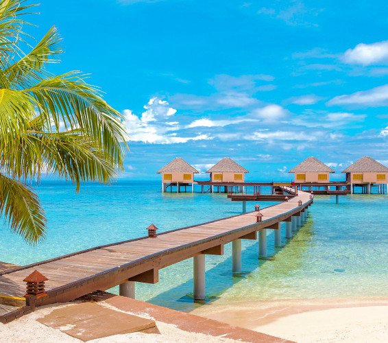 Itaka smart | ITAKA_LT