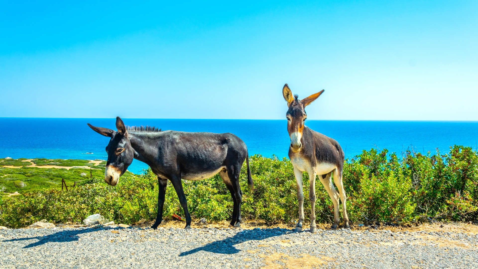 Siaures kipras - Kelioniu kryptys | ITAKA_LT