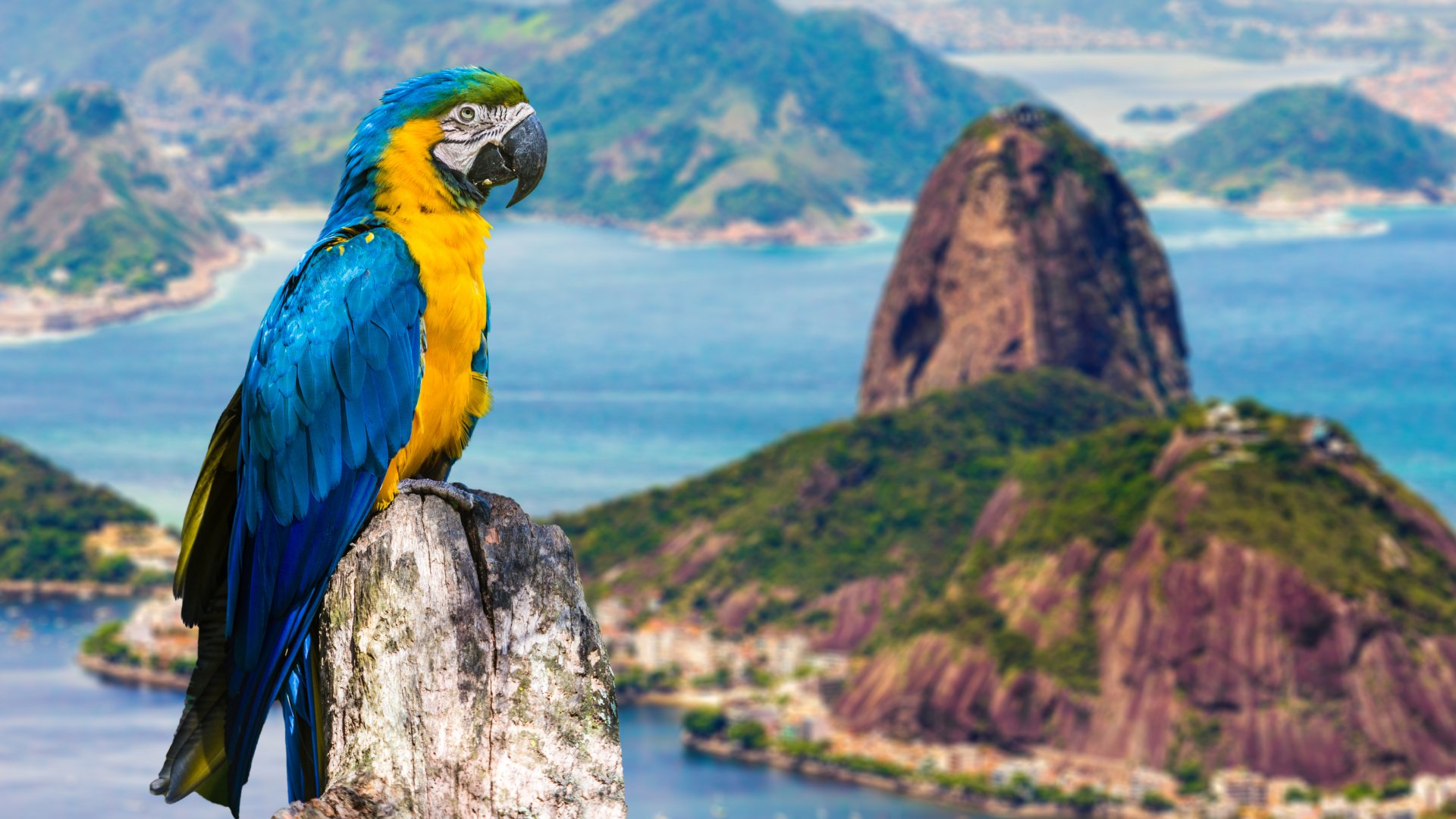 Brazylia Loty – Zarezerwuj bilety na lot do Brazylii | ITAKA