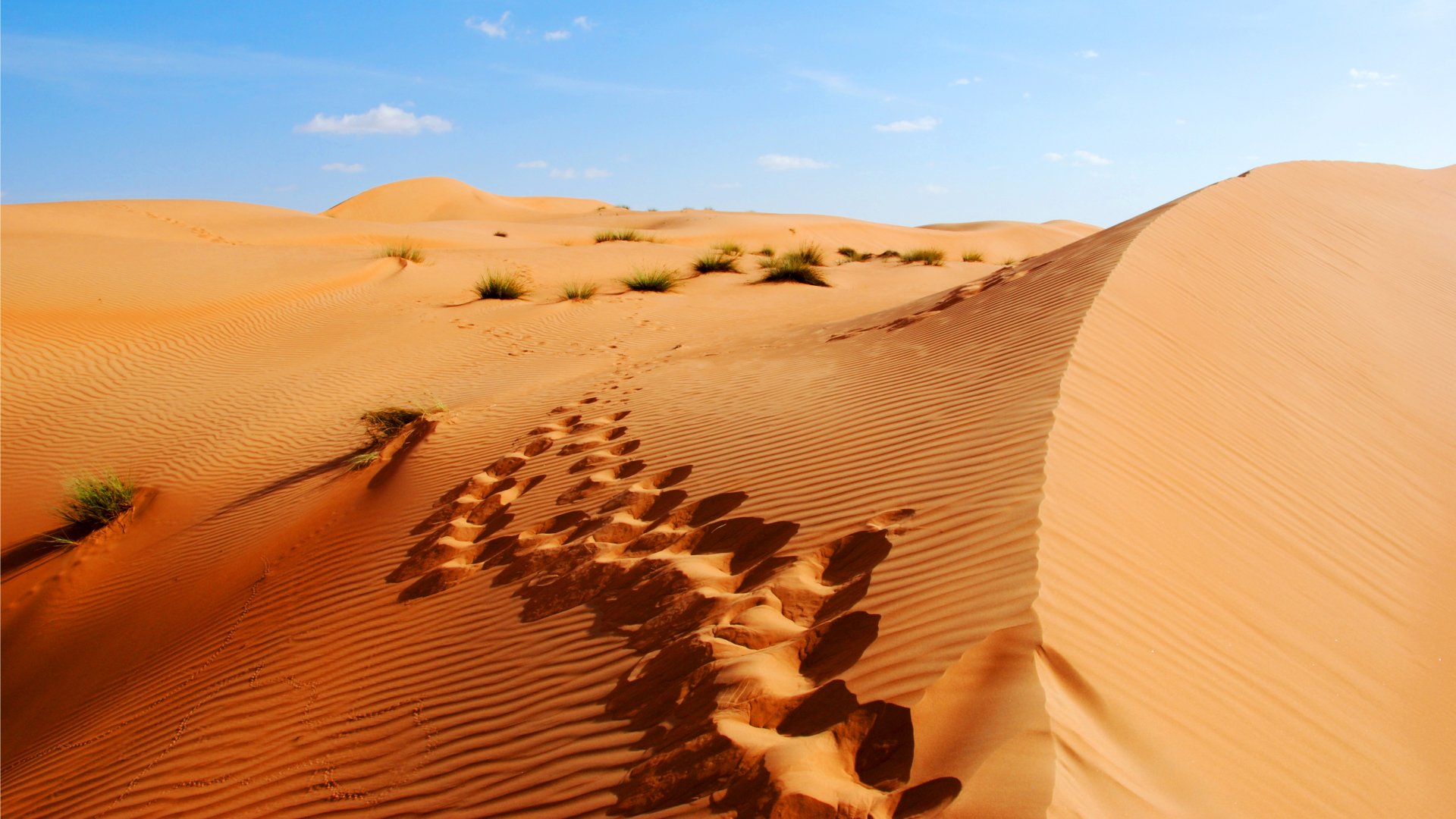 Atrakcje Zjednoczone Emiraty Arabskie - co warto zobaczyć w ...
