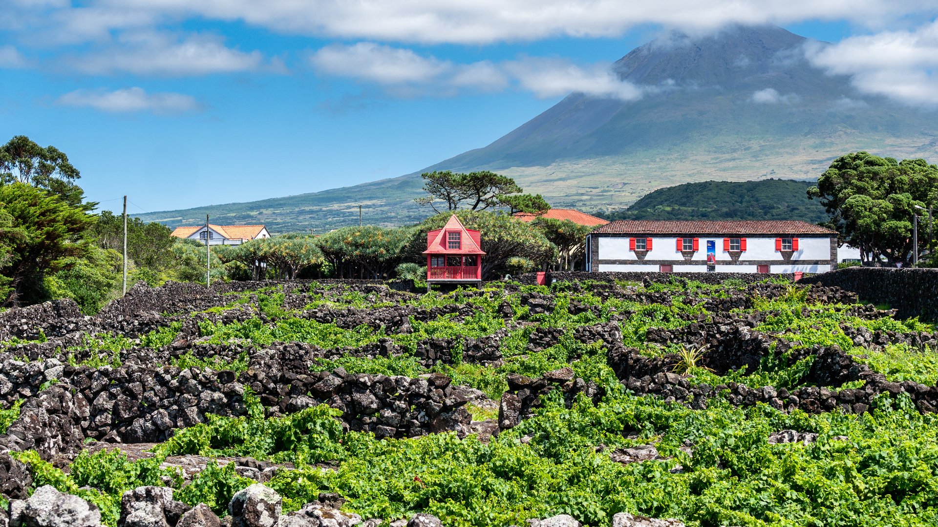 Azory - Wakacje, Wczasy, Wycieczki | ITAKA