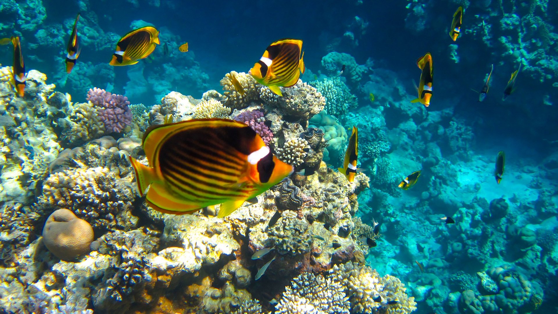 Malediwy - Wakacje, Wczasy, Wycieczki | ITAKA