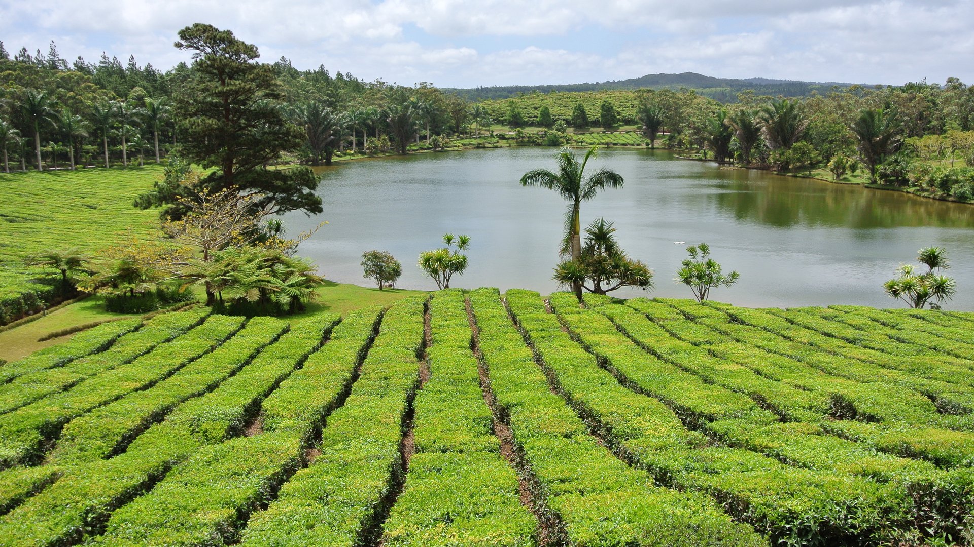 Mauritius - Our destinations | ITAKA