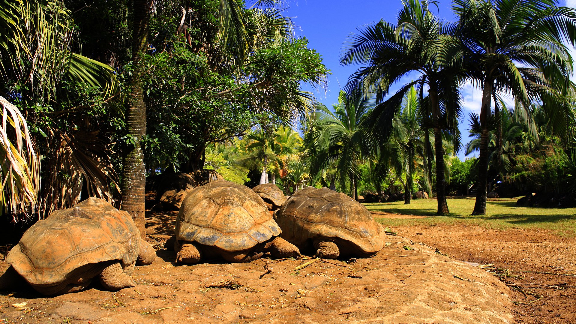 Mauritius - Our destinations | ITAKA